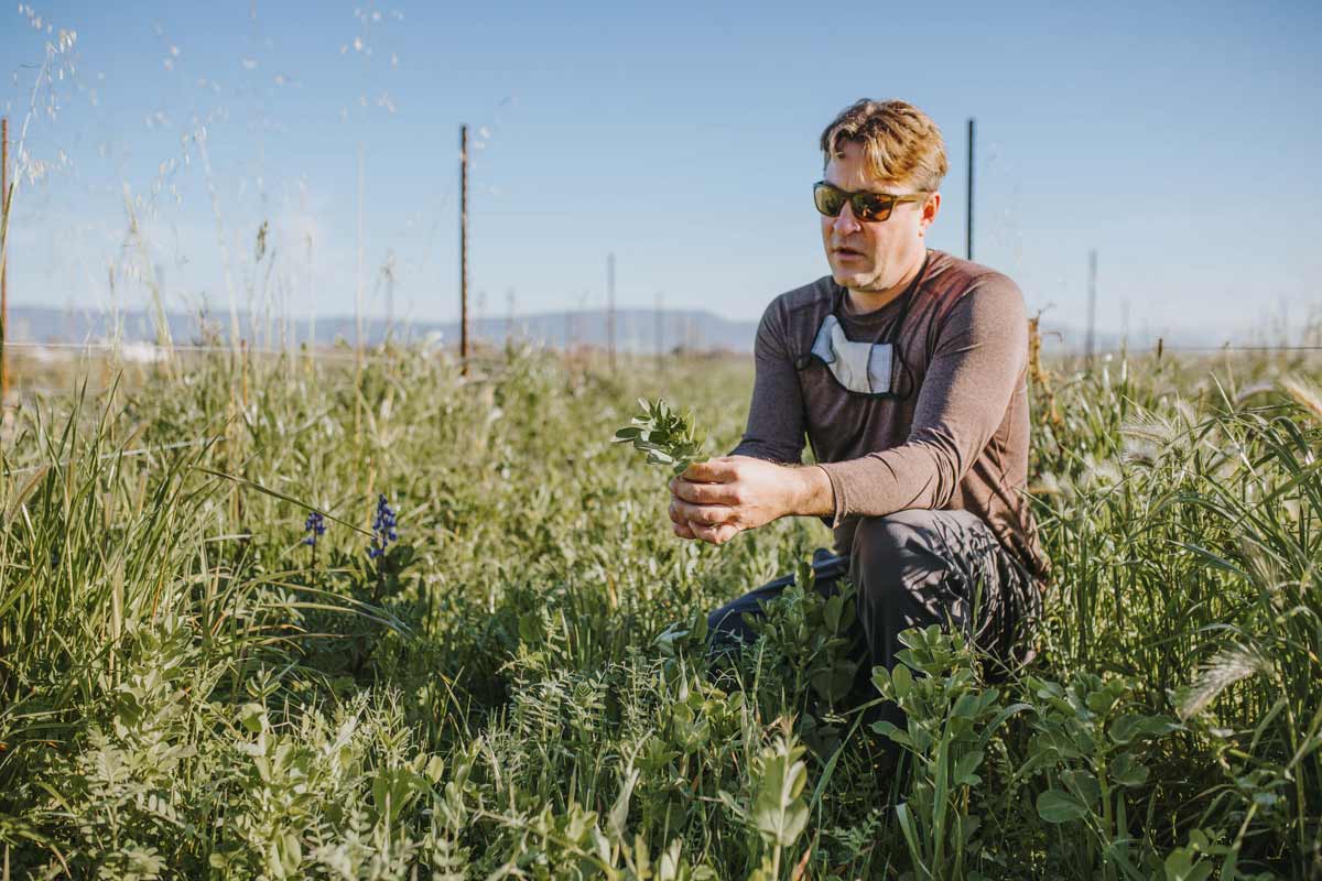 Tank House Farms - Tank House Farms